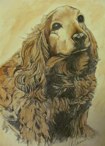 Commissions || Amy Cummins